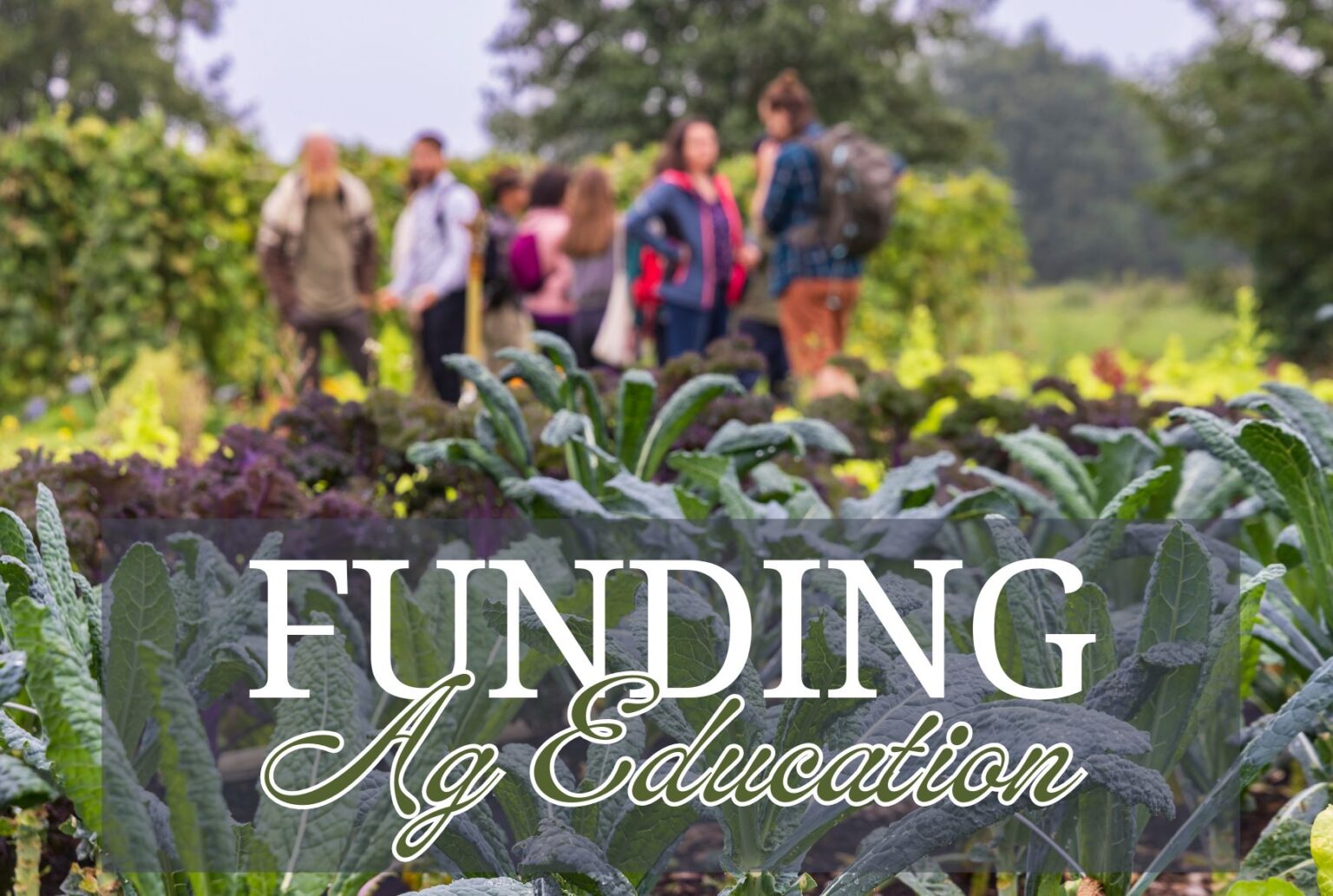 July 2024 Newsletter - NoCo Foundation